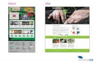 Before & After Website Design: Starting Anew for Success!